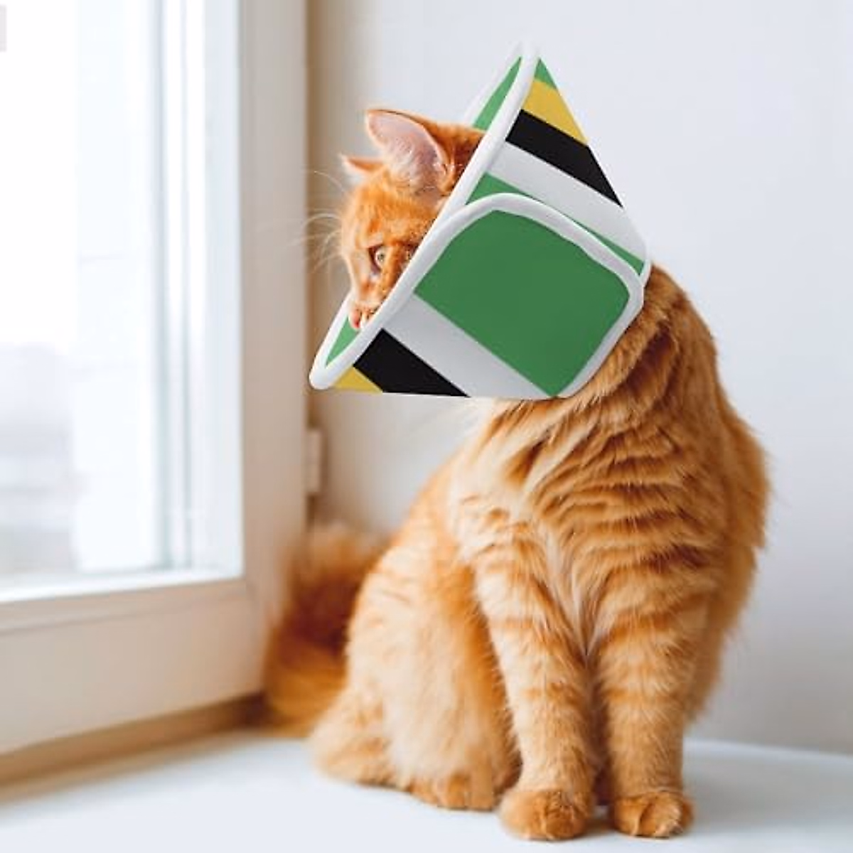 Dominican Flag Soft Dog Cone Collars Protective Adjustable Cat Recovery Collar to Stop Licking L