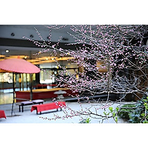 Canon DSLR camera EOS 5D Mark III body EOS5DMK3 [International Version, No Warranty]