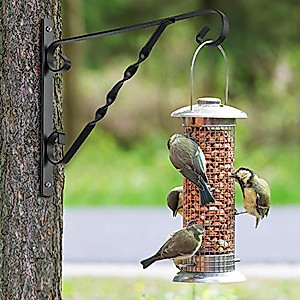 Amagabeli 4 Pack Hanging Plants Bracket 12" Outdoor Hanger Planter Hooks Flower Baskets Pot Bird Feeder Wind Chimes Lanterns Hanger Patio Garden for Wall Fence Screw Mount Arm Metal Black BG154