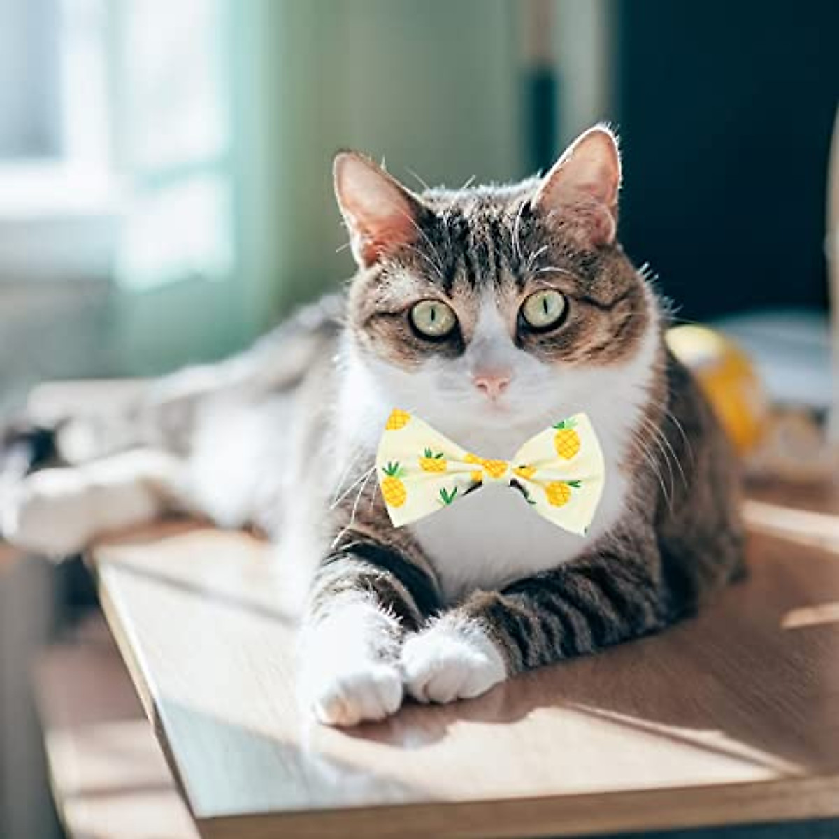 POPETPOP 1 Set of Fruit Pet Bandana Triangle Hawaiian Style Cat Kerchief Scarf Puppy Grooming Bowties Hairband Collar Bibs Set Costume Accessories for Dogs Cats