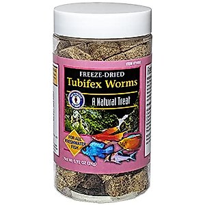 San Francisco Bay Brand Freeze-Dried Tubifex Worms 0.92-Ounces (26-Grams) Jar