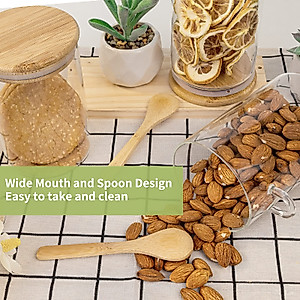 Airtight Food Storage Containers, Glass Storage Canister with Wooden Spoon and Lids ,15OZ Glass Jars with Lids,Glass Jar for Serving Bath Salt Sugar Spice Coffee Tea Cereals Condiment Food (1 set)