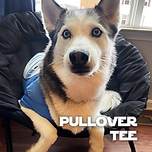 STAR WARS Dog Shirts - Officially Licensed Collectible STAR WARS Dog Shirt Lightweight and Breathable Dog Clothes- R2D2 Dog T Shirt, Large