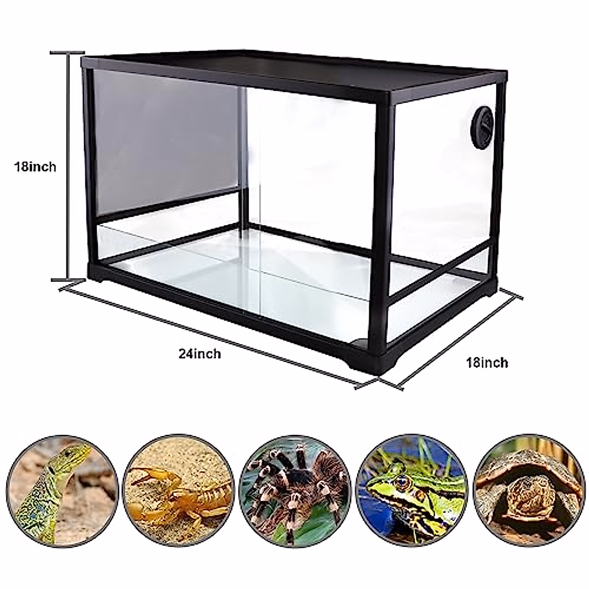 AIICIOO Reptile Glass Tank - 24 x 18 x 18 Inches Knock Down Full View Natural Terrarium for Chameleon Gecko Corn Snake Iguana & Lizard Aquarium