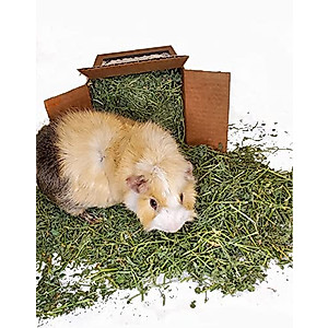 High Desert Alfalfa Hay - Dried Natural Alfalfa Hay for Rabbits, Guinea Pigs, Chinchillas, and Ferrets - Protein and Fiber Rich Food for Small Animals - Healthy Pet Food