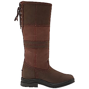 Ariat Womens Langdale Waterproof Boot Java 10.5 Plus