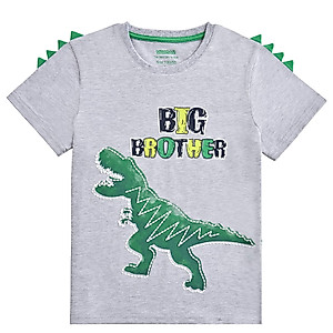 Dinosaur Big Brother Announcement T Shirt Sibling Outfits for Toddler Boys Cotton Promoted to Big Brother Shirt Print Colorful Dino Short Sleeve Top Tee Gift(Gray, 18-24 Months)