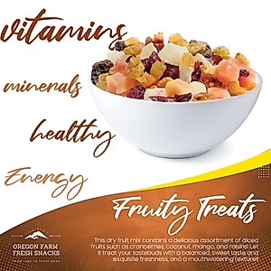 Oregon Farm Fresh Snacks Dried Fruit Mix – 24oz Healthy Snacks - Fresh and Natural Fruit Trail Mix – Mixed Fruit Snacks for Adults and Kids – Ideal for Breakfast, Cakes, Snacks