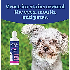 Angels’ Eyes Gentle Tear Stain Solution for Dogs and Cats | 8 oz Solution for Eye Area and Face | Remove Discharge, Dirt, Tear Stains, and Mucus