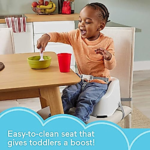 Fisher-Price Baby Portable Toddler Dining Chair Simple Clean & Comfort Booster with Contoured Seat and Harness,Panda