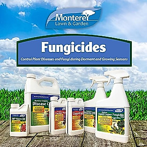 Monterey LG6128 Concentrate 8OZ 70% Neem Oil, 16 oz, Brown