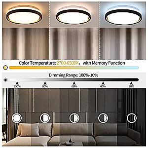 Hurrah LED Ceiling Light Fixture with Remote Control - 17W Flush Mount Dimmable Ceiling Lamp Black Round 2700K-6500K 11.8in Close to Ceiling Lighting for Bedroom Living Room Hallway Kitchen