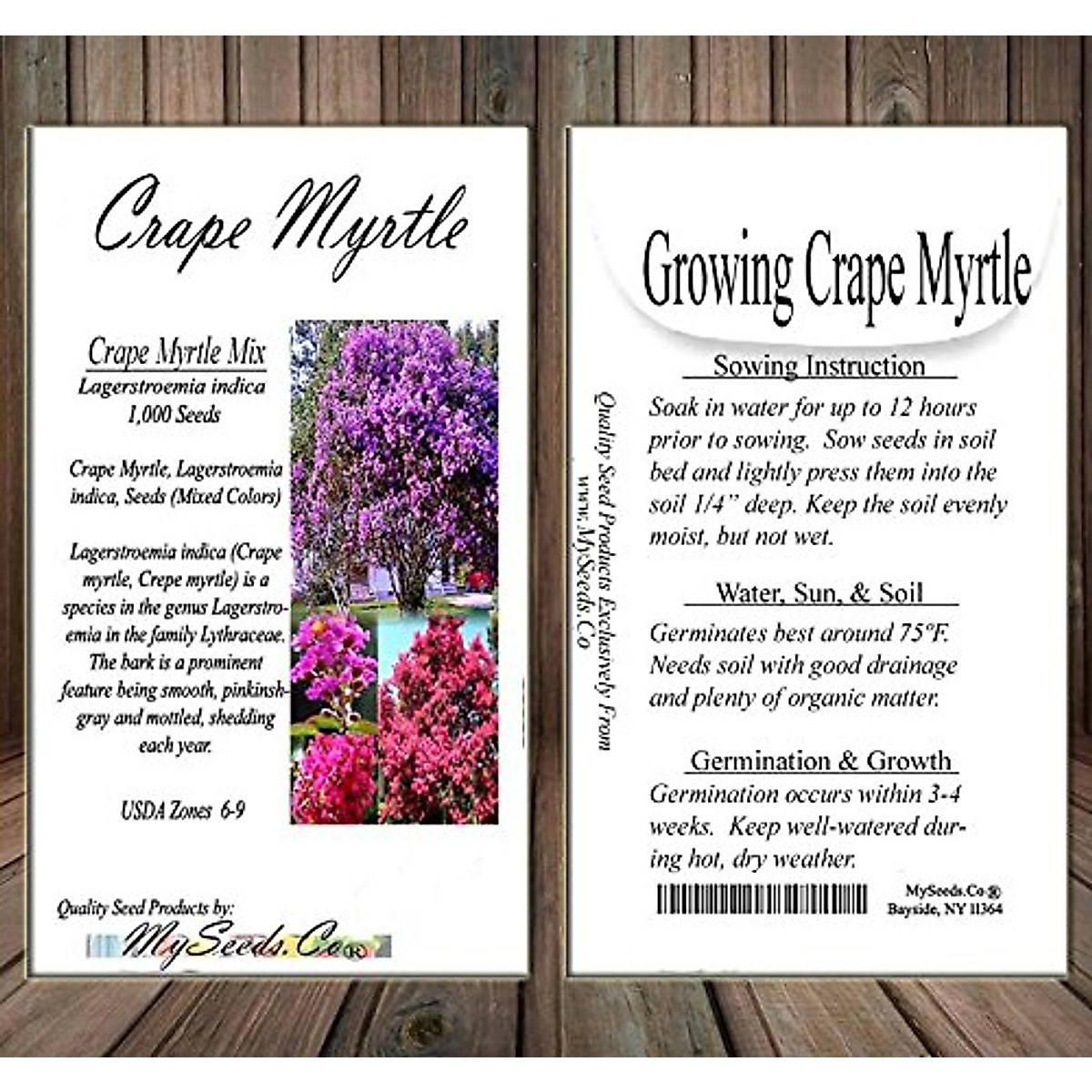 Big Pack - (1,000) Crape Myrtle Mix, Lagerstroemia Indica Tree Seeds - by MySeeds.Co (Big Pack - Crape Myrtle)