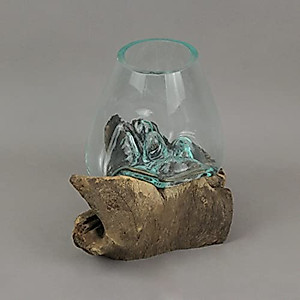 Chesapeake Bay Medium Glass Bowl On Driftwood, Brown, 7.5 Inch