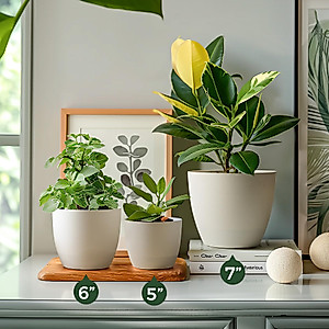 T4U 5 Inch Self Watering Planters Plastic Plant Pot, Modern Decorative Flower Pot/Window Box for All House Plants, Flowers, Herbs, African Violets, Succulents - White, Set of 6