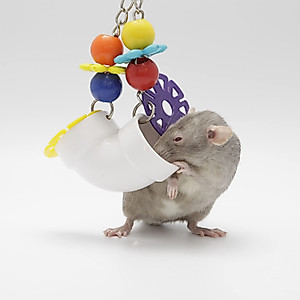 Jungle Canopy Toy Bundle - Colorful Interactive Climbing Forage Cage Accessory Toy Set - for Sugar Gliders, Rats, Ferrets, Hamsters, Squirrels, Parrots, Birds, Marmosets, Degus, Monkeys & Small Pets