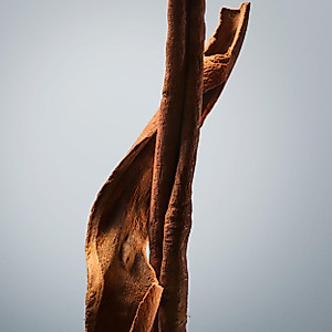 Hugo Boss BOSS Bottled Deodorant