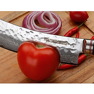 YOUSUNLONG Butcher Knife Pro 10" Cimitar Hybrid Cleaver Japanese Hammered Damascus Steel Razor Sharp - Natural Leadwood Handle