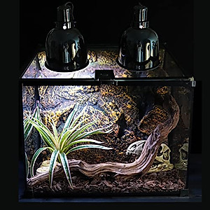 ReptiKing Reptile Light Fixture, Deep Dome for Reptile Light/Heat Lamp/UVB Light, 2-Pack 5.5 Inch Light Dome