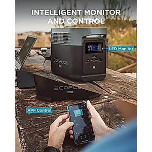 EF ECOFLOW Portable Power Station DELTA Mini, 882Wh Capacity, Solar Powered Generator for Outdoor, Emergency, Home Backup, RV(Solar Panel Not Included)