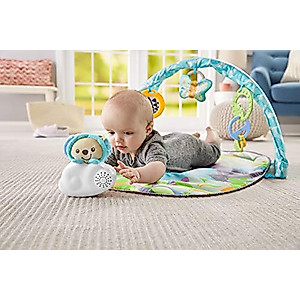 Fisher-Price Butterfly Dreams Musical Playtime Gym [Amazon Exclusive]