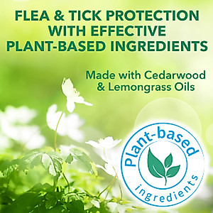 Hartz Nature’s Shield Flea & Tick Spray Treatment for Cats, Natural and Effective Flea & Tick Prevention and Protection for Dogs with Cedarwood and Lemongrass Oil, 14 Ounces