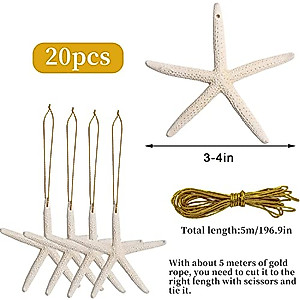 20 PCS Christmas Starfish Ornaments 3-4'' Natural Starfish Ornaments, with Rope for Christmas Tree Hanging Ornaments Beach Theme Wedding Home Starfish Decor & DIY Crafts