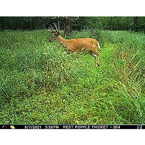 Cuddelink Cuddeback 3 L Series IR Cameras 3 Battery Power Banks 3 16GB SD Cards New