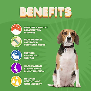 Dog Hip and Joint Supplement with Glucosamine Turmeric for Dogs, Chondroitin, MSM, Boswellia. Tablets for Mobility, Agility, Limping, Pain & Inflammation Relief for Senior Dogs