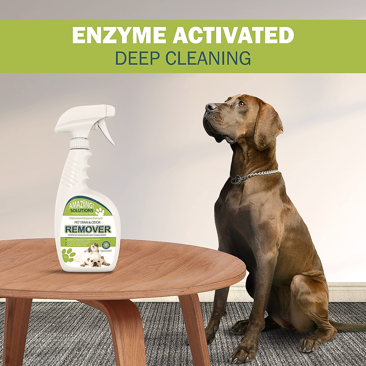 Amaziing Solutions Pet Stain and Odor Remover - Enzyme Cleaner, Pet Urine Odor Eliminator Spray - Floor & Carpet Cleaner Spray, Pet Deodorizers For Home, Fabric Spray W/Fresh, Clean Scent, 32oz Spray