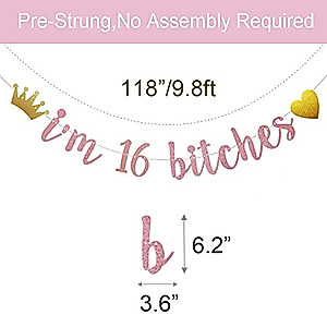 ABCpartyland Rose Gold Glitter Paper I'm 16 Bitches Banner, Funny 16th Birthday Party Decorations Supplies, Pre-Strung,Letters Rose Gold I'm 16 Bitches