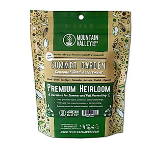 Summer Garden Heirloom Vegetable Seeds - ~5,000+ Total Seeds, 7 Varieties of Seeds to Sow in Summer Months - Beet, Lettuce, Radish, Basil, Cabbage, Cucumber, & Squash Heirloom Seeds for Planting