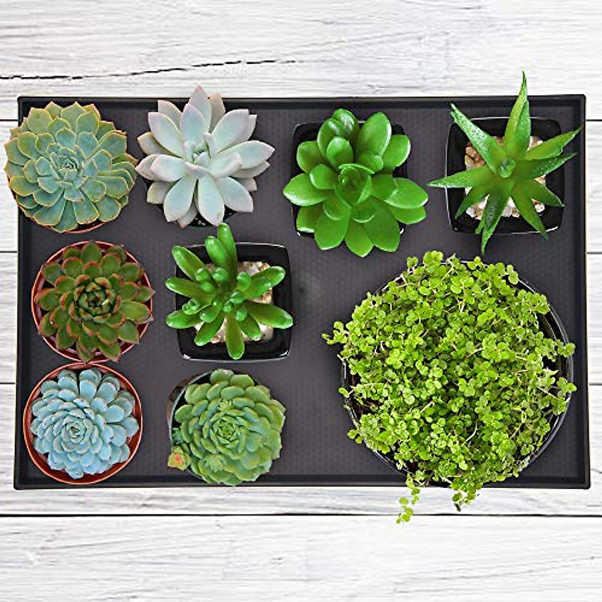 Black and White Plastic Tray Set 14 x 9.6 in, Large Vanity Organizer Bathroom Counter Tray, Kitchen Tray for Counter, Multi-Purpose Utility Trays (Pack of 2)