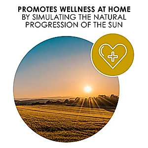 Adesso Smart Home Circadian LED Floorchiere Light with Smart Switch, Works with Alexa, A Certified for Humans Device