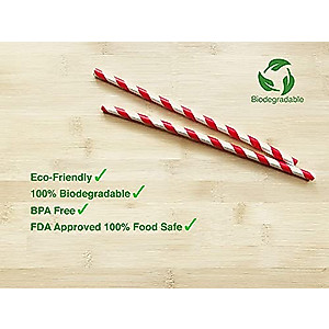 Family Home Products 7.75 inch Red & White Striped Paper Straws, Biodegradable Disposable Drinking Straws 500 Count