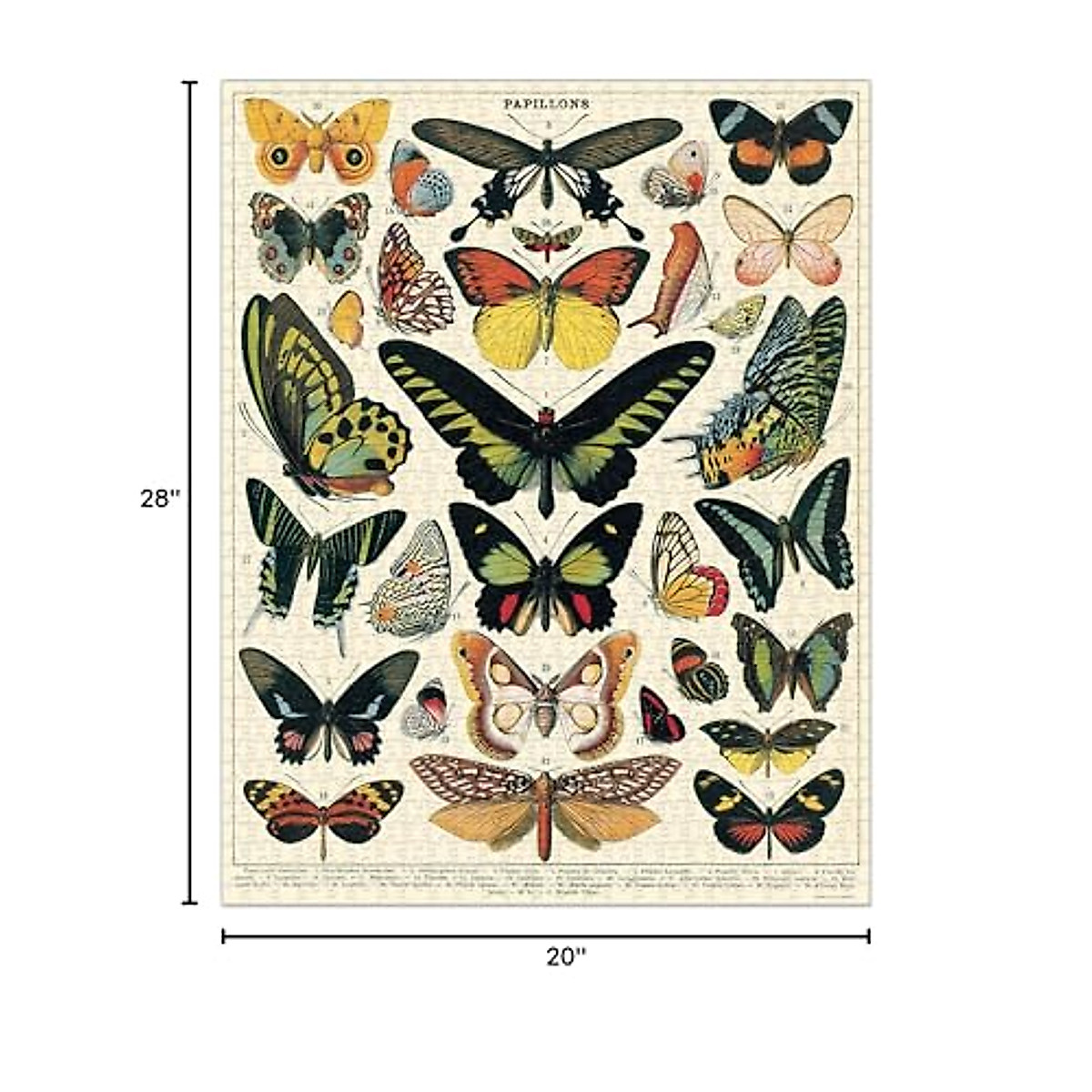Cavallini Papers & Co. Butterflies 1,000 Piece Puzzle, Multi
