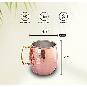 ARTISANS VILLAGE Moscow Mule Mugs | Set of 4 | Stainless Steel Lining | Pure Copper Plating | 100% Handcrafted Hammered Cups | Size 16 oz | With Premium Straws and Shot Glass
