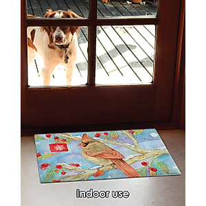 Toland Home Garden 800262 Noel Cardinal Winter Door Mat 18x30 Inch Bird Outdoor Doormat for Entryway Indoor Entrance