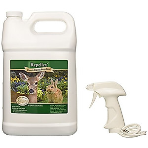 Repellex Deer/Rabbit Repellent, 1 gal. (10008)