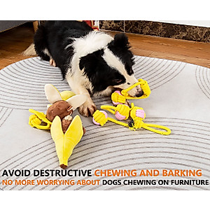 UNIWILAND 7 Pack Dog Chew Toys Pack for Dogs, 2 Cute Dog Squeaky Dog Toys with 5 Ropes Puppy Chew Toys, Puppies Teething Chew Toys, Cute Plush Dog Toys for Medium Small Dogs Boredom (Cute Monkey)