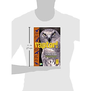 Raptor! A Kid's Guide to Birds of Prey