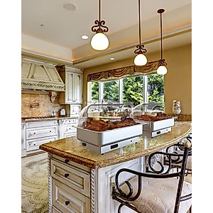 RIEDHOFF 9QT Electric Chafing Dish Set with Temperature Control, Roll Top Stainless Steel Full-size Chafer with Transparent Lid for Catering and Food Servers