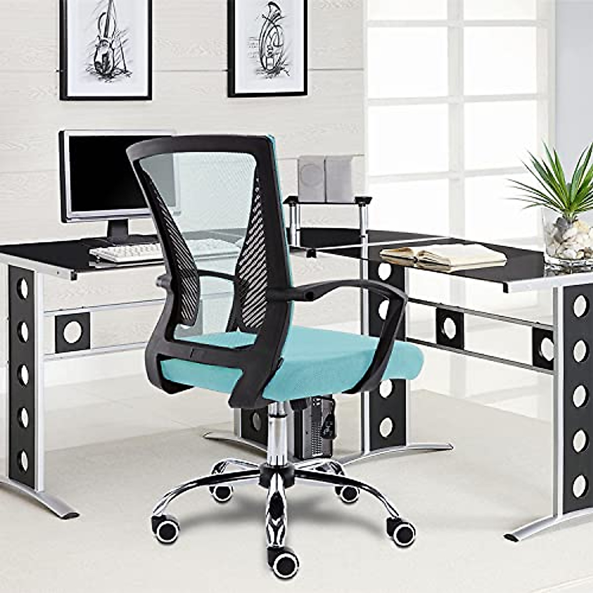 Modern Home Zuna Mid-Back Office Task Chair - Ergonomic Back Supporting Mesh Back Desk Chair (Black/Aqua)