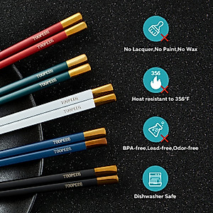 TOOPEEG Metal Chopsticks Reusable Dishwasher Safe 5 Pairs Stainless Steel Chopsticks 9.5 Inches Non-Slip Classic Style Chop Sticks Gift Set