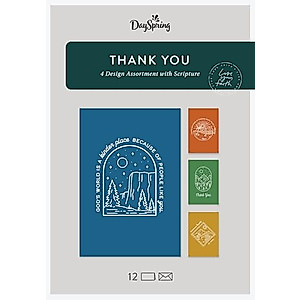 DaySpring - God's World is a Kinder Place - Thank You - 4 Design Assortment with NIV Scripture - 12 Boxed Thank You Cards & Envelopes, Multicolor
