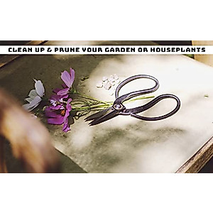 Skyhaven Harvest Pruning Scissors, Traditional Higurashi Japanese-style Bonsai shears for indoor outdoor gardening. A versatile tool for use around the kitchen, house and garden