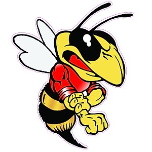 Nostalgia Decals Stinger Bee Decal is 5" in Size in The United States