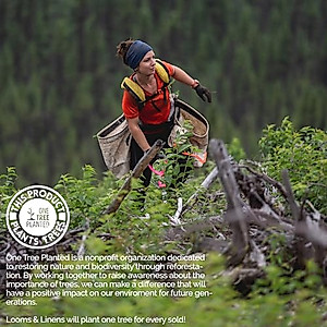 King Size Pillows for Bed Pillows Made in USA by Looms and Linens King Sham Insert Pillow 20 x 36 Flat Sleeping Pillow Insert for Bedroom Washable Pillow Inserts