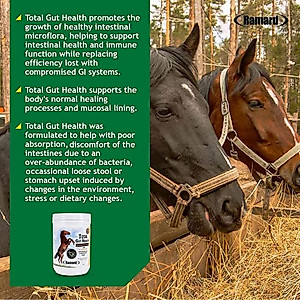 Ramard Total Gut Health Horse Supplement for Digestion, Horse Powder Supplement for Gastrointestinal Health & Total Gut Balance, Equine Feed Powder Horse Gut Health Supplement - 1.12lb, 30-Day Supply