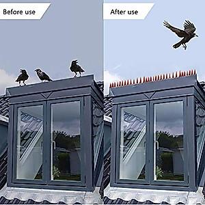 Unkno 12 Pack Plastic Bird Deterrent Spikes 16.7 Feet Fence Spikes for Cat,Birds,Bird Spikes, Squirrel Spikes，Spike Strips for Bird Cat Squirrel Pigeons（ Brown）